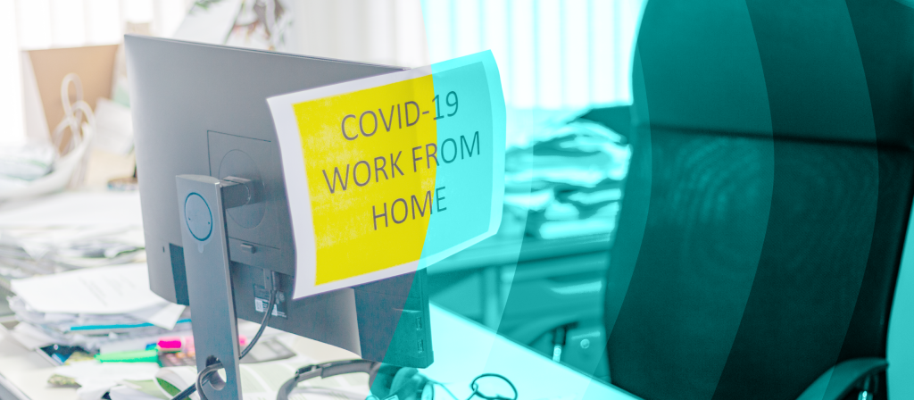 Government and the pandemic: structures and response | COVINFORM